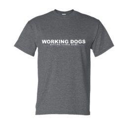 Stallone's Bullmastiff