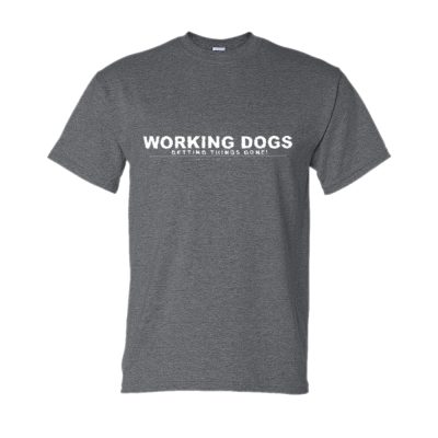 Ruh Roh, It's Astro!