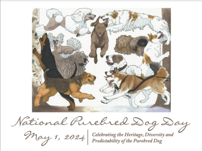 National Purebred Dog Day Official Poster for 2024 - National Purebred Dog Day®