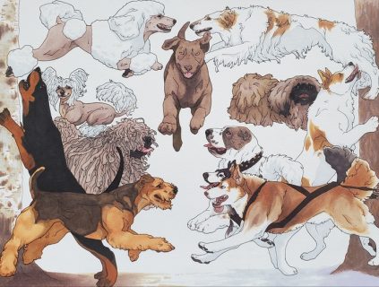 Art Competition - National Purebred Dog Day®