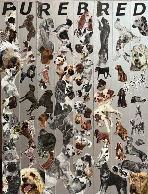 "Purebred!" - Entry in National Purebred Dog Day Fine Art/Poster ...