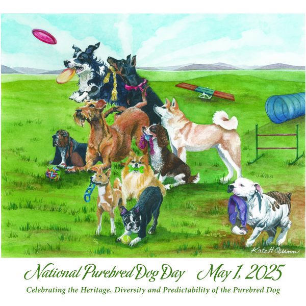 About - National Purebred Dog Day®