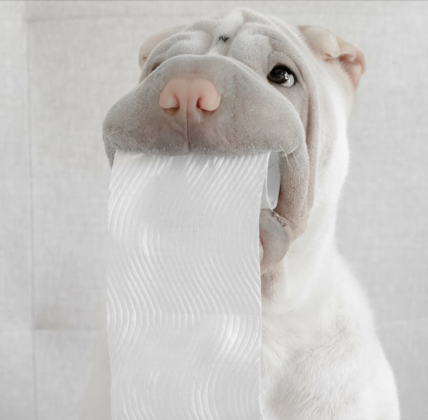 The Purex Shar-Pei