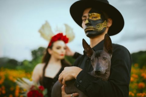 The Quintana Roo Xoloitzcuintli